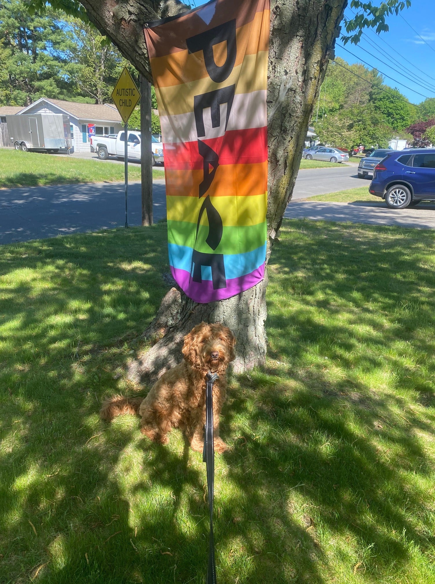 Rainbow Peace Flag Project – Common Street Spiritual Center